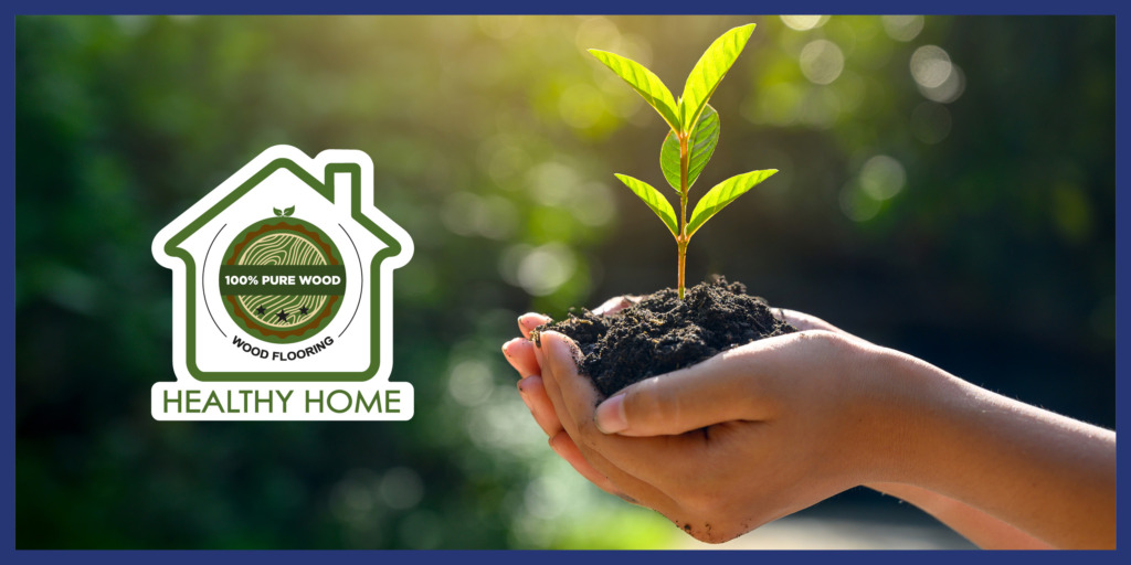 T&G Wood introduces... Healthy Home